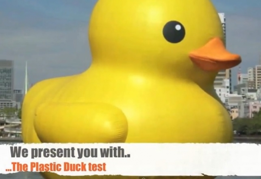 The Duck Test | Match Fishing