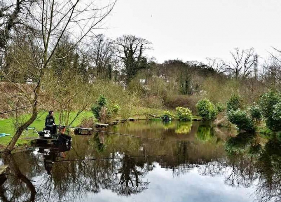 Martin Stokes Met The Guys From Fishing In The Northwest! | Match Fishing